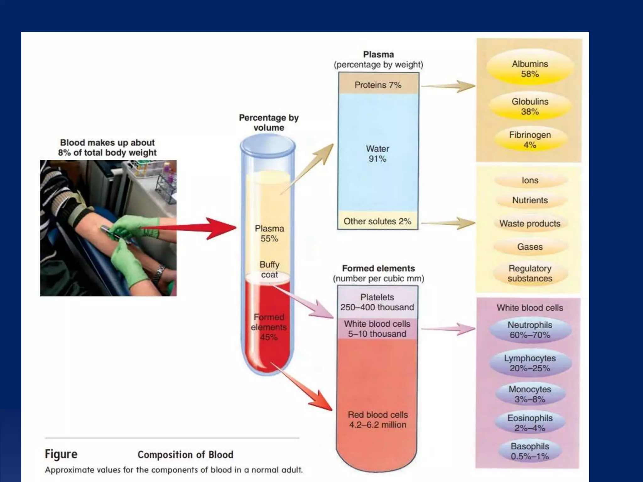BLOOD COMPOSITION.pptx