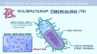 Definition of tuberculosis as scientific and practical problem | PPT