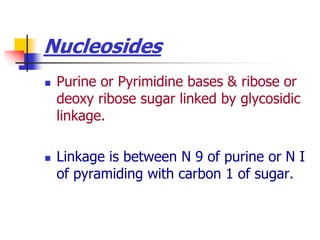 Lecture 1. Chemistry of NA Purines & Pyrimidines.ppt