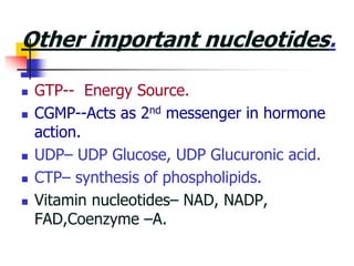 Lecture 1. Chemistry of NA Purines & Pyrimidines.ppt