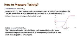 Lecture 1.pptx