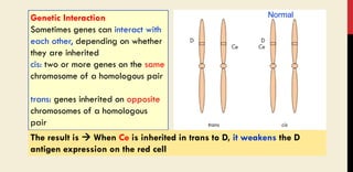 Genetic terms in blood banking | PDF