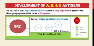 Genetic terms in blood banking | PDF