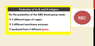 Genetic terms in blood banking | PDF