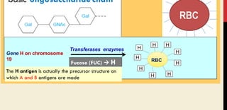 Genetic terms in blood banking | PDF