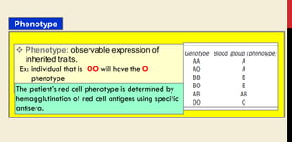 Genetic terms in blood banking | PDF