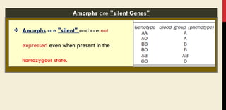 Genetic terms in blood banking | PDF