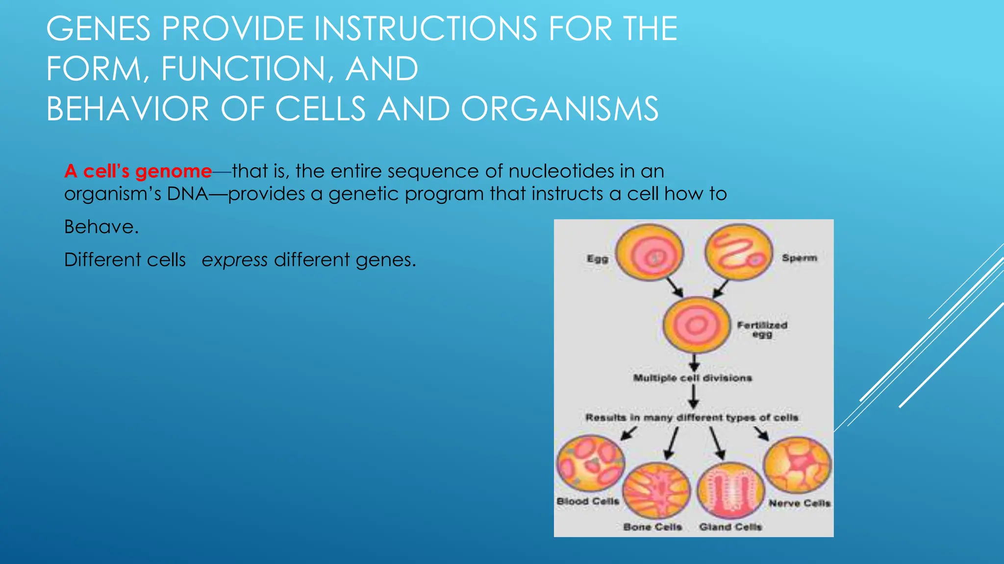 Lecture 1. Introduction to cell biology.pptx