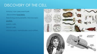 Lecture 1. Introduction to cell biology.pptx