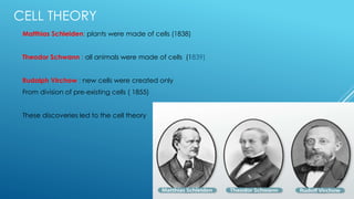 Lecture 1. Introduction to cell biology.pptx
