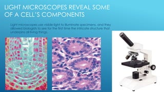 Lecture 1. Introduction to cell biology.pptx