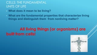 Lecture 1. Introduction to cell biology.pptx