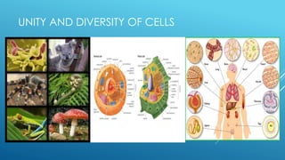 Lecture 1. Introduction to cell biology.pptx