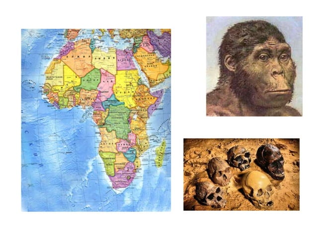 HISTORY OF MEDICINE AS SCIENCE AND SUBJECT FOR STUDY PREHISTORIC ...