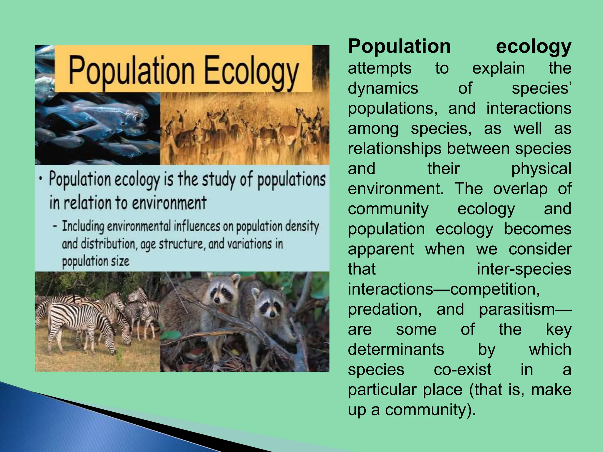 LECTURE 1.Ecology, subject and objectives.pptx
