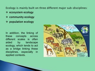 LECTURE 1.Ecology, subject and objectives.pptx