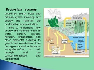 LECTURE 1.Ecology, subject and objectives.pptx