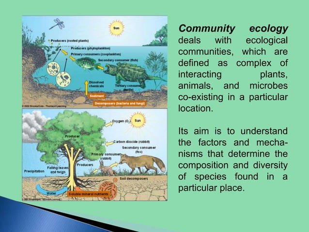 LECTURE 1.Ecology, subject and objectives.pptx