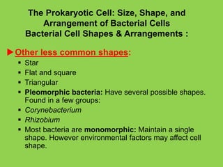 Lecture 1. Introduction to Medical Microbiology.pdf