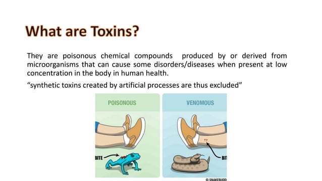 Lecture 1.pptx microbial toxin........... | PPTX | Infectious Diseases ...