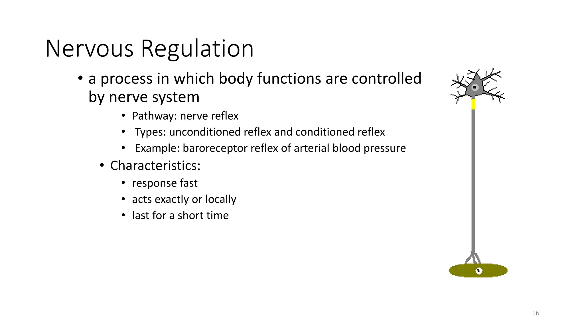 LECTURE Homeostasis maintenance of internal environment 1.ppt