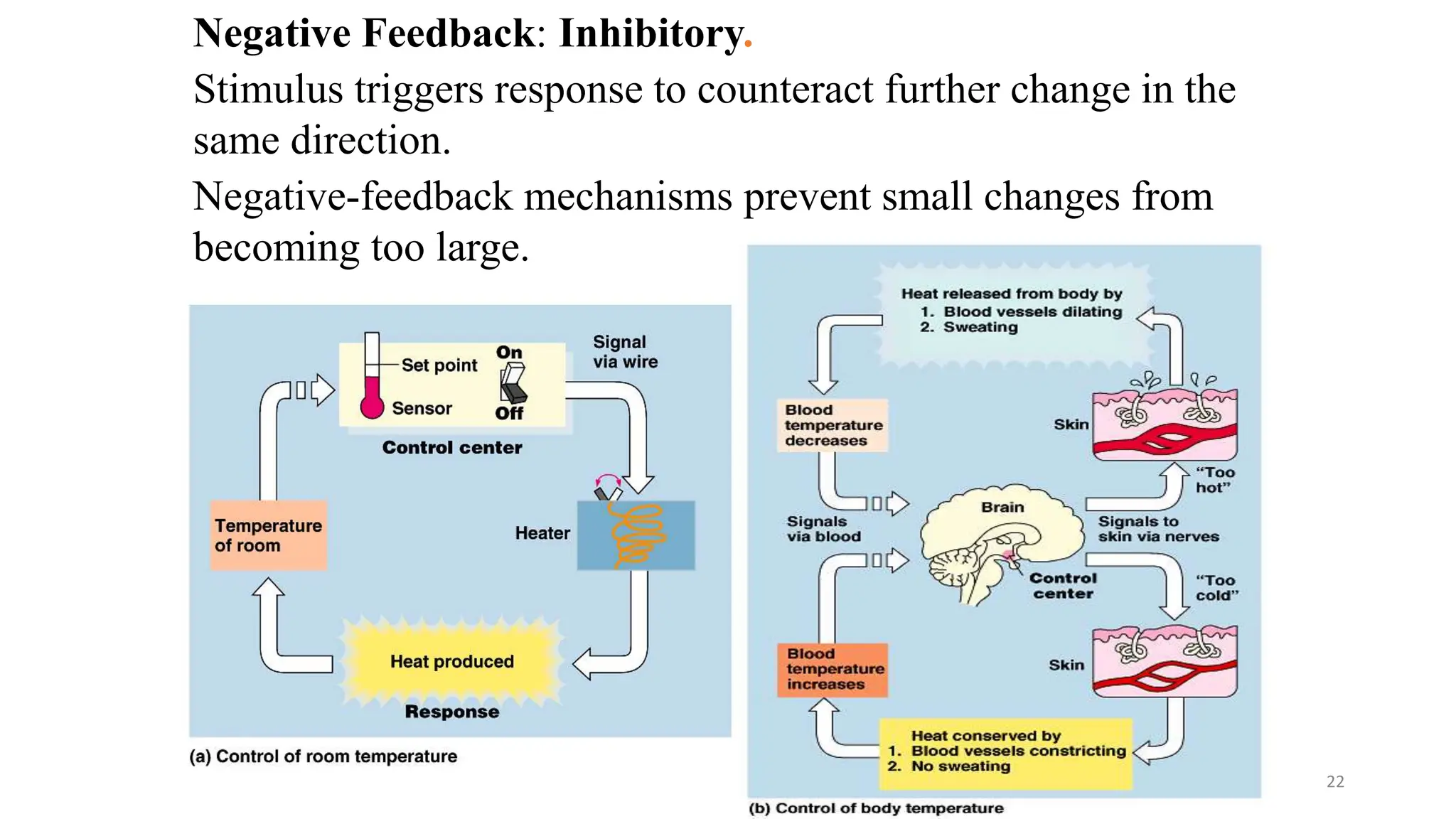 LECTURE Homeostasis maintenance of internal environment 1.ppt