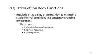 LECTURE Homeostasis maintenance of internal environment 1.ppt