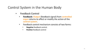 LECTURE Homeostasis maintenance of internal environment 1.ppt