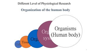 LECTURE Homeostasis maintenance of internal environment 1.ppt