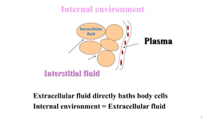LECTURE Homeostasis maintenance of internal environment 1.ppt