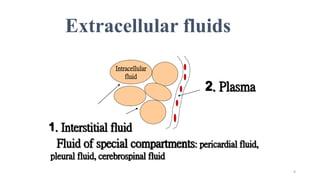 LECTURE Homeostasis maintenance of internal environment 1.ppt