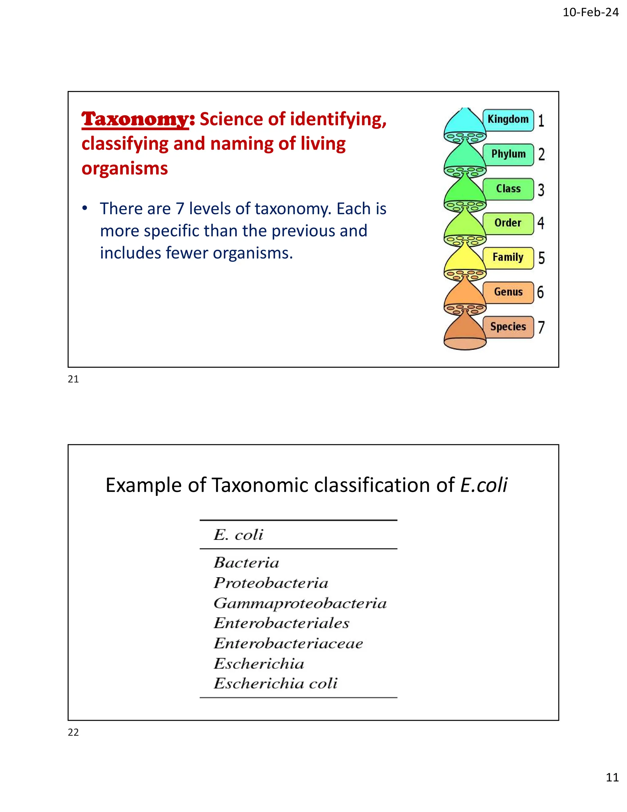 General microbiology lecture 1 and bacteria | PDF