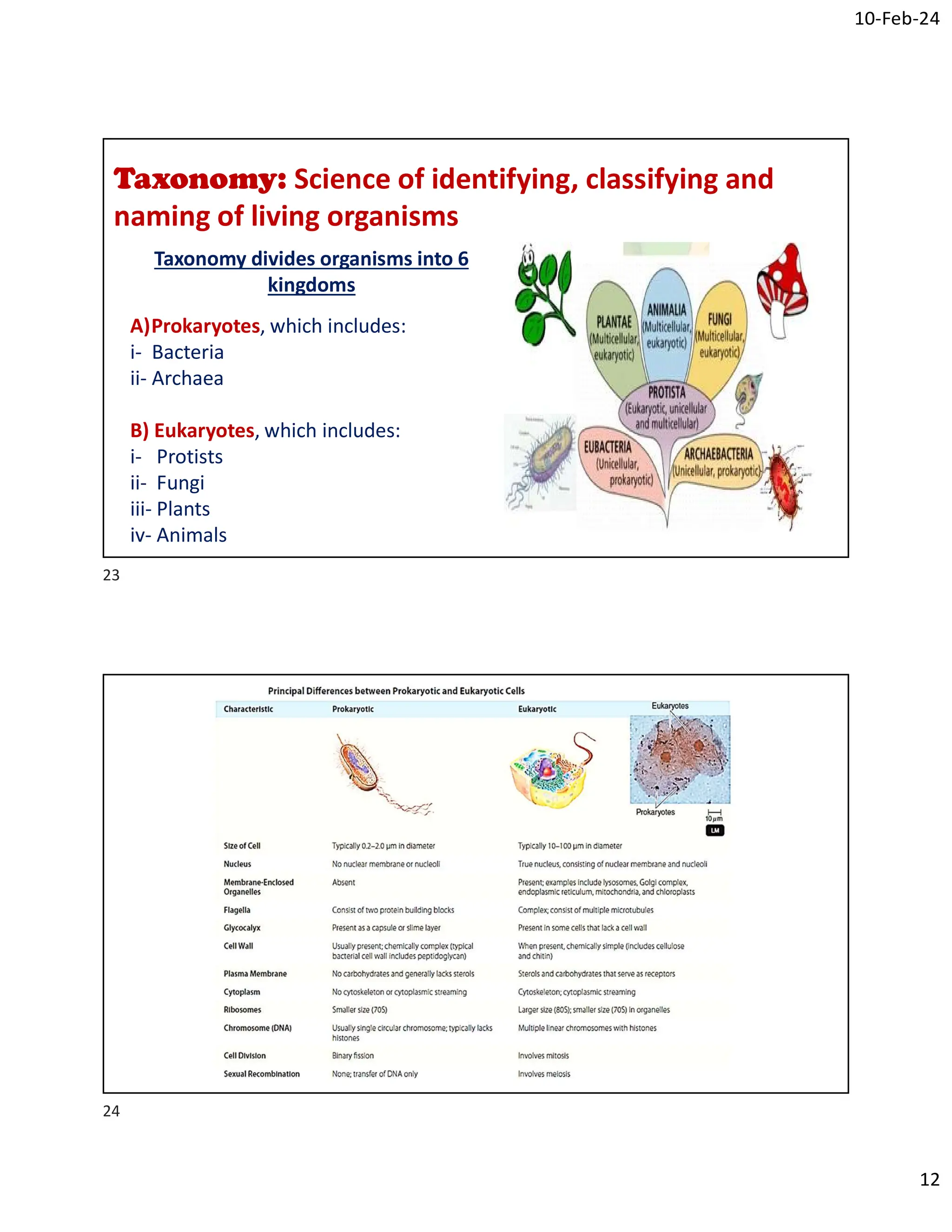 General microbiology lecture 1 and bacteria | PDF