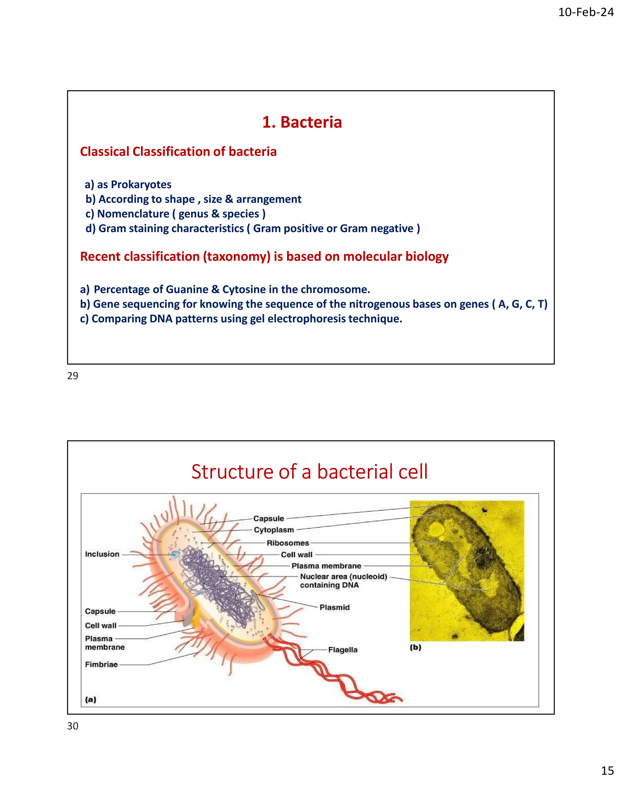 General microbiology lecture 1 and bacteria | PDF