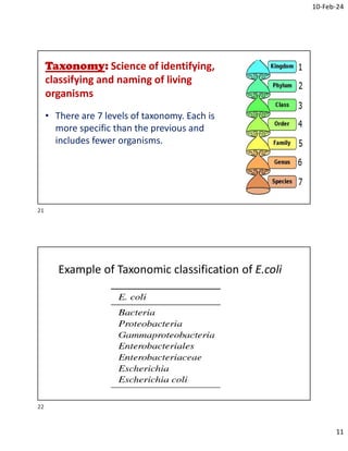 General microbiology lecture 1 and bacteria | PDF