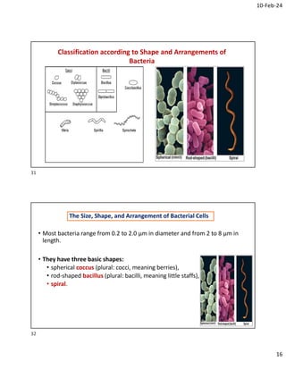 General microbiology lecture 1 and bacteria | PDF