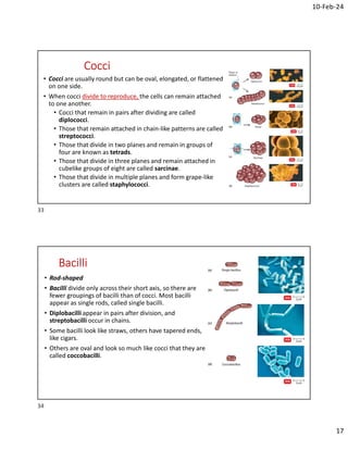 General microbiology lecture 1 and bacteria | PDF