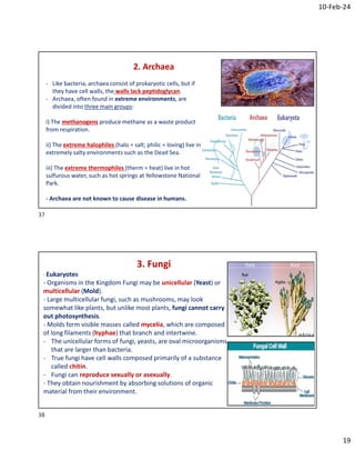 General microbiology lecture 1 and bacteria | PDF