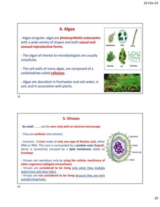 General microbiology lecture 1 and bacteria | PDF