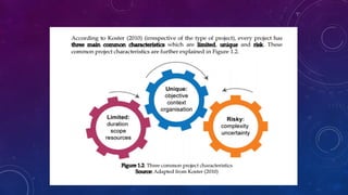 International Project Management - Core Concept and Theory of Projects ...