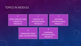 International Project Management - Core Concept and Theory of Projects ...