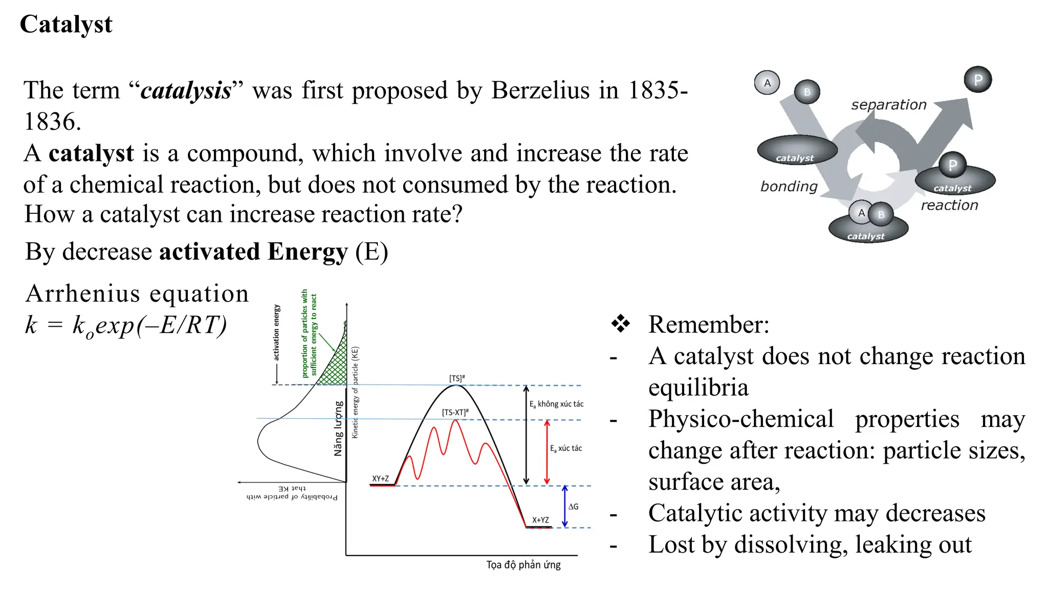 Kinetic of Catalyst reaction. Lecture 1: Definition and concepts | PDF