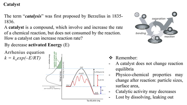 Kinetic of Catalyst reaction. Lecture 1: Definition and concepts | PDF | Chemistry | Science