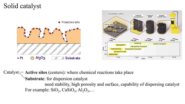 Kinetic of Catalyst reaction. Lecture 1: Definition and concepts | PDF | Chemistry | Science