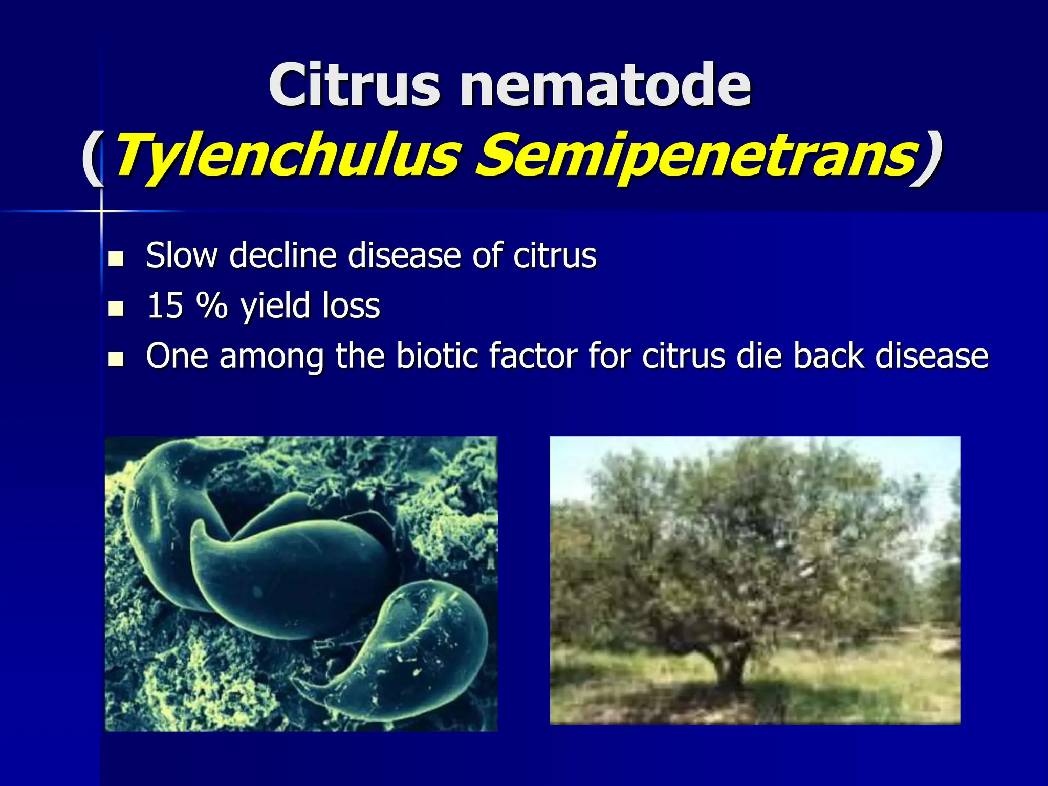 Lecture 1.ppt rdna technology and pathology | PPT