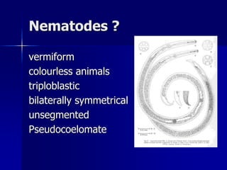 Lecture 1.ppt rdna technology and pathology | PPT
