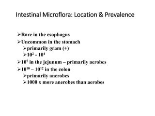 lecture_1._probiotics_prebiotics_lecture.ppt