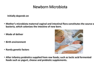 lecture_1._probiotics_prebiotics_lecture.ppt