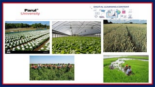 Introduction of horticulture. fundamental horticulture , b,sc ...