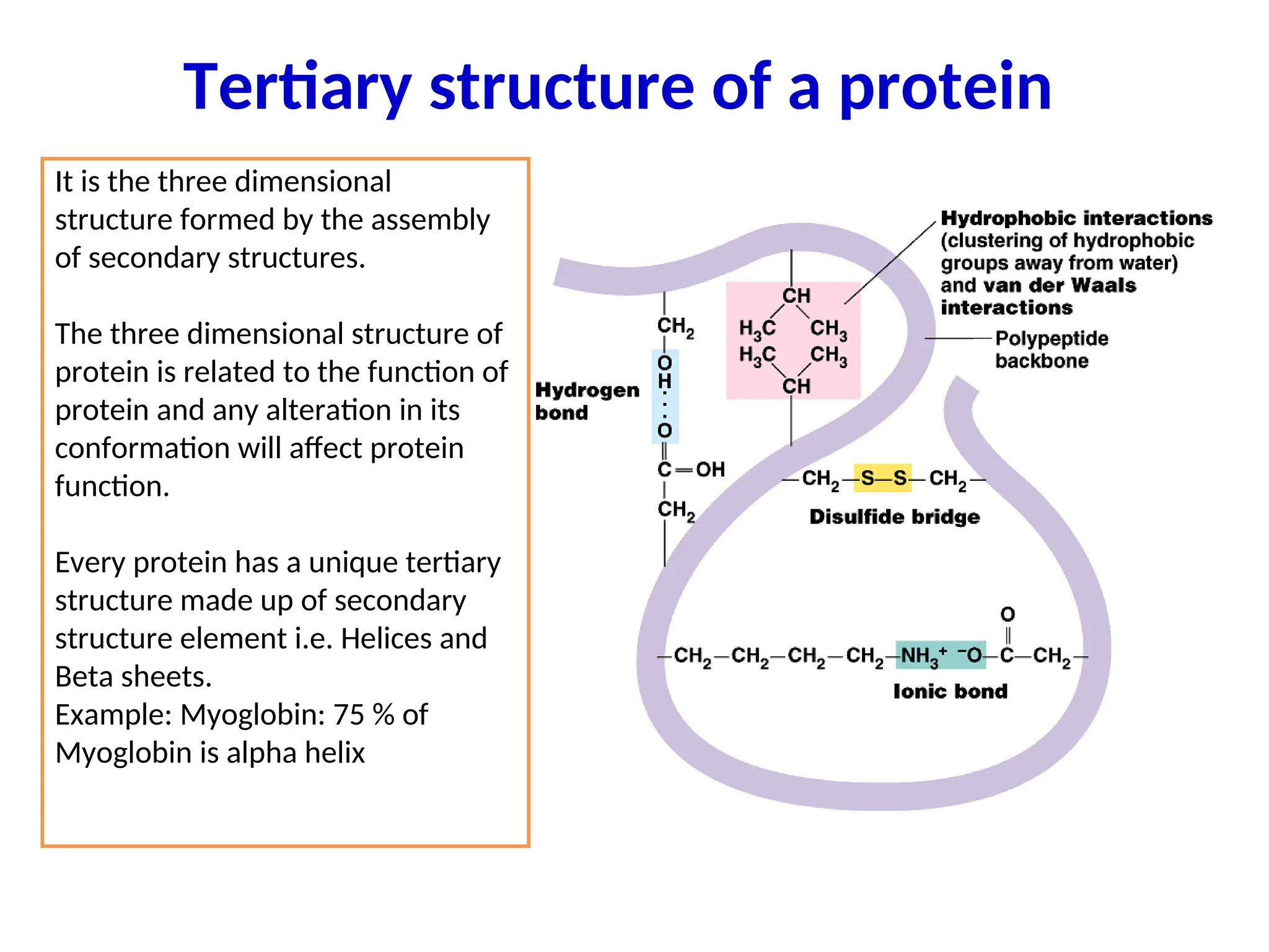 Lecture 1.ppt protien structure in laboratory department | PPT